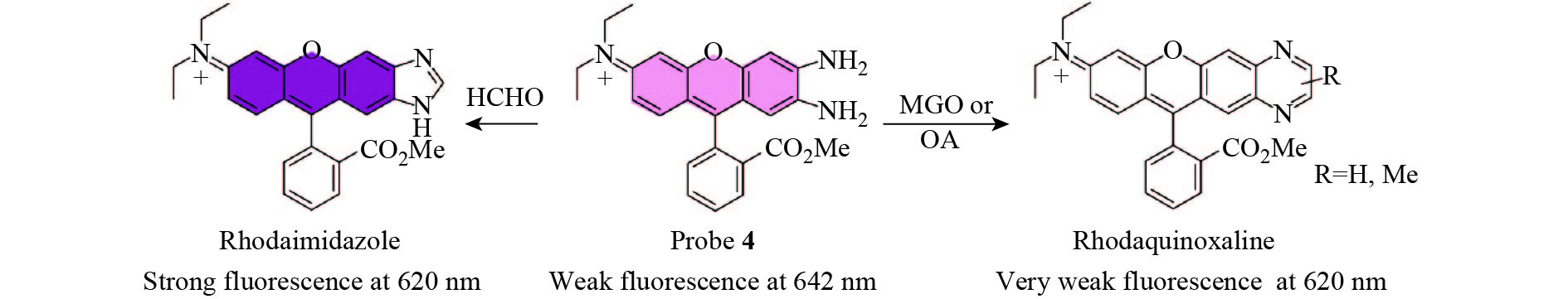 Reaction-Based Formaldehyde Small Molecule Fluorescent Probes