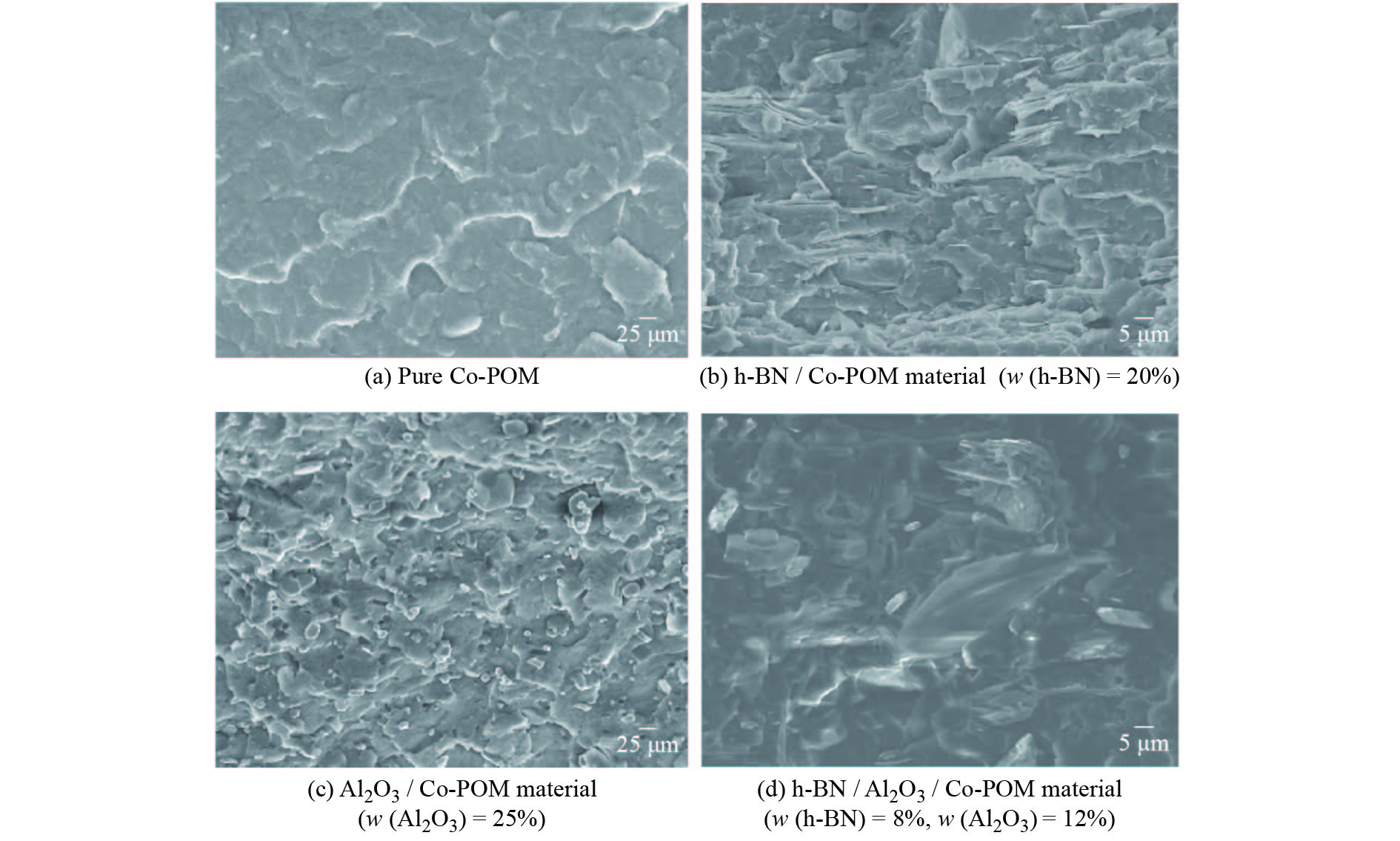Preparation and Properties of Thermally Conductive Co-POM Materials ...