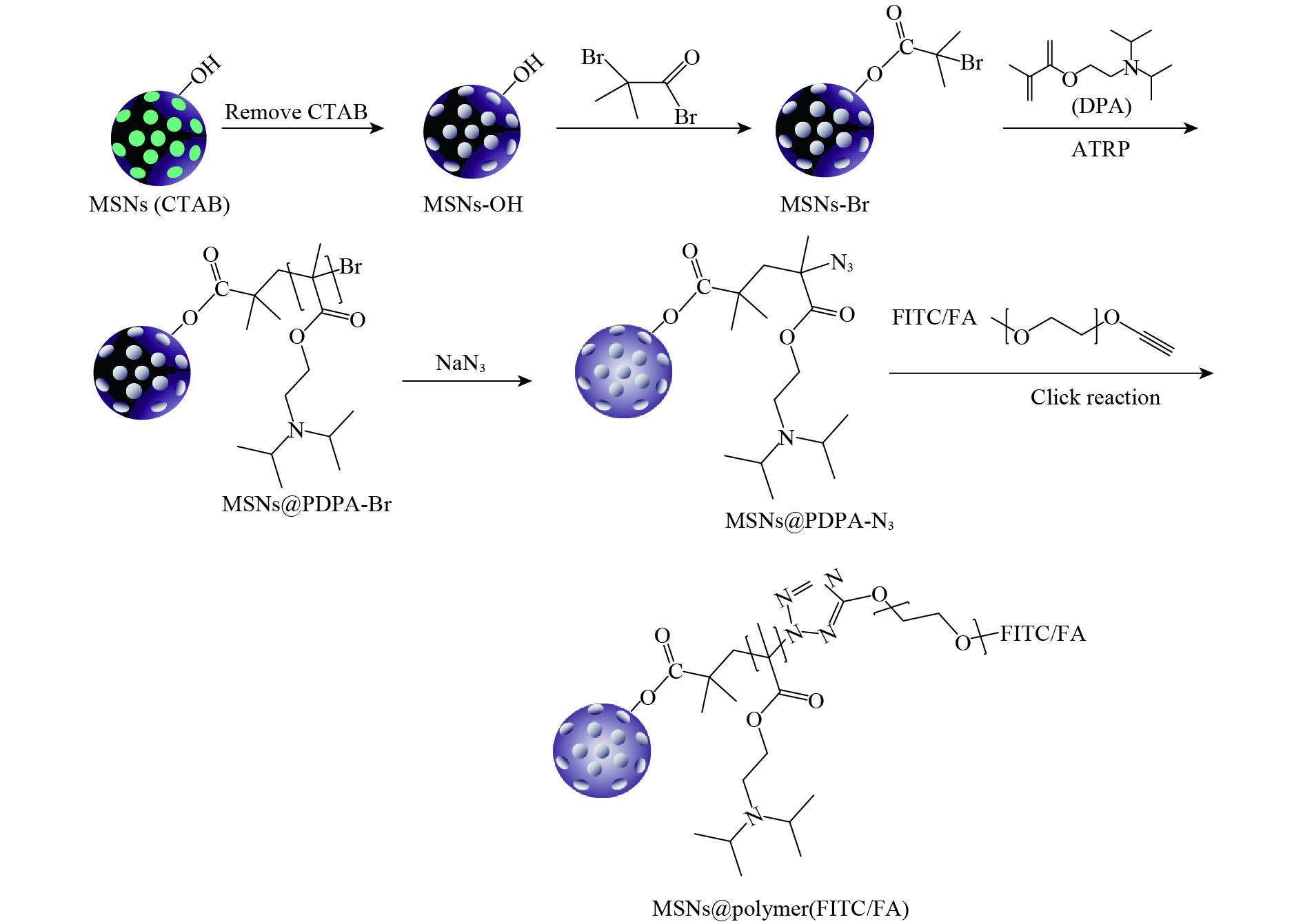 pH响应MSNs@polymer（FITC/FA）核-壳结构双重药物载体