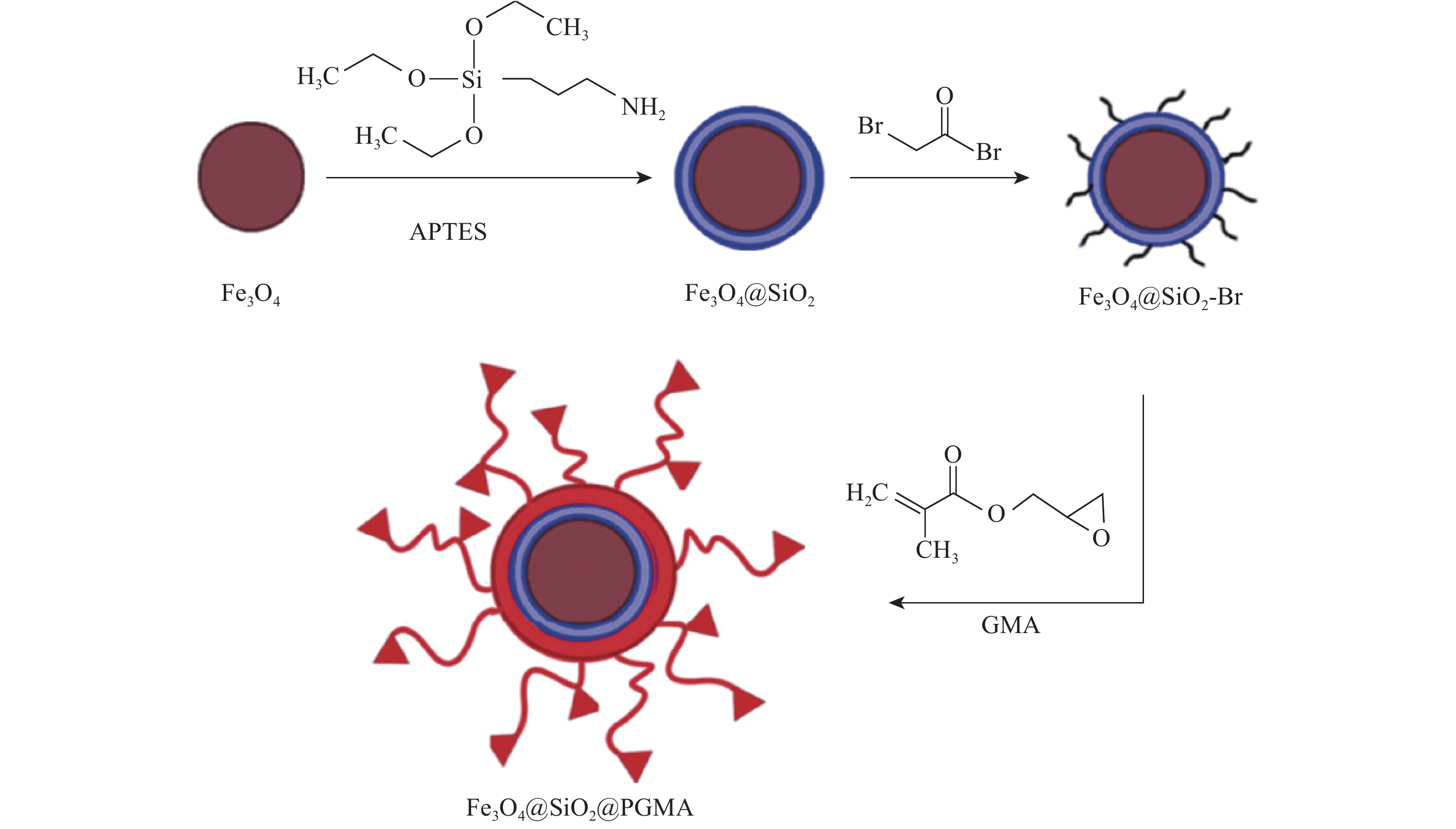 Preparation, Functionalization and Application of Magnetic Polymer Brushes