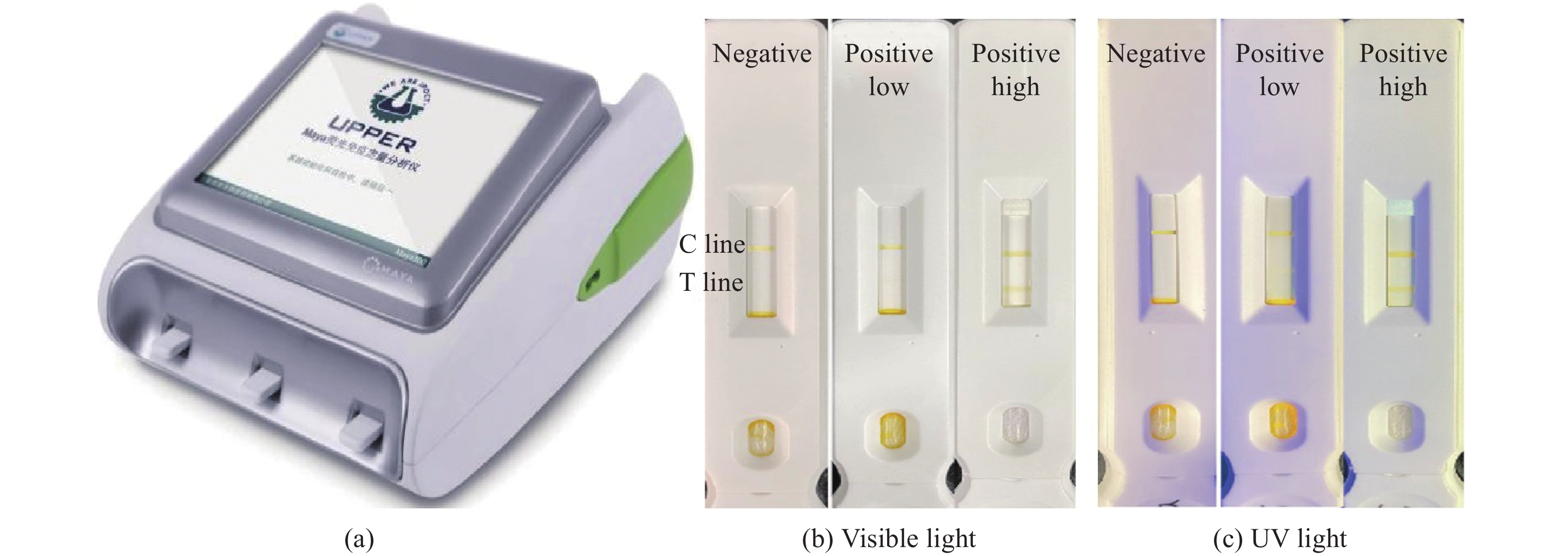 喹啉腈荧光微球构建及在荧光免疫层析中对SAA的检测应用