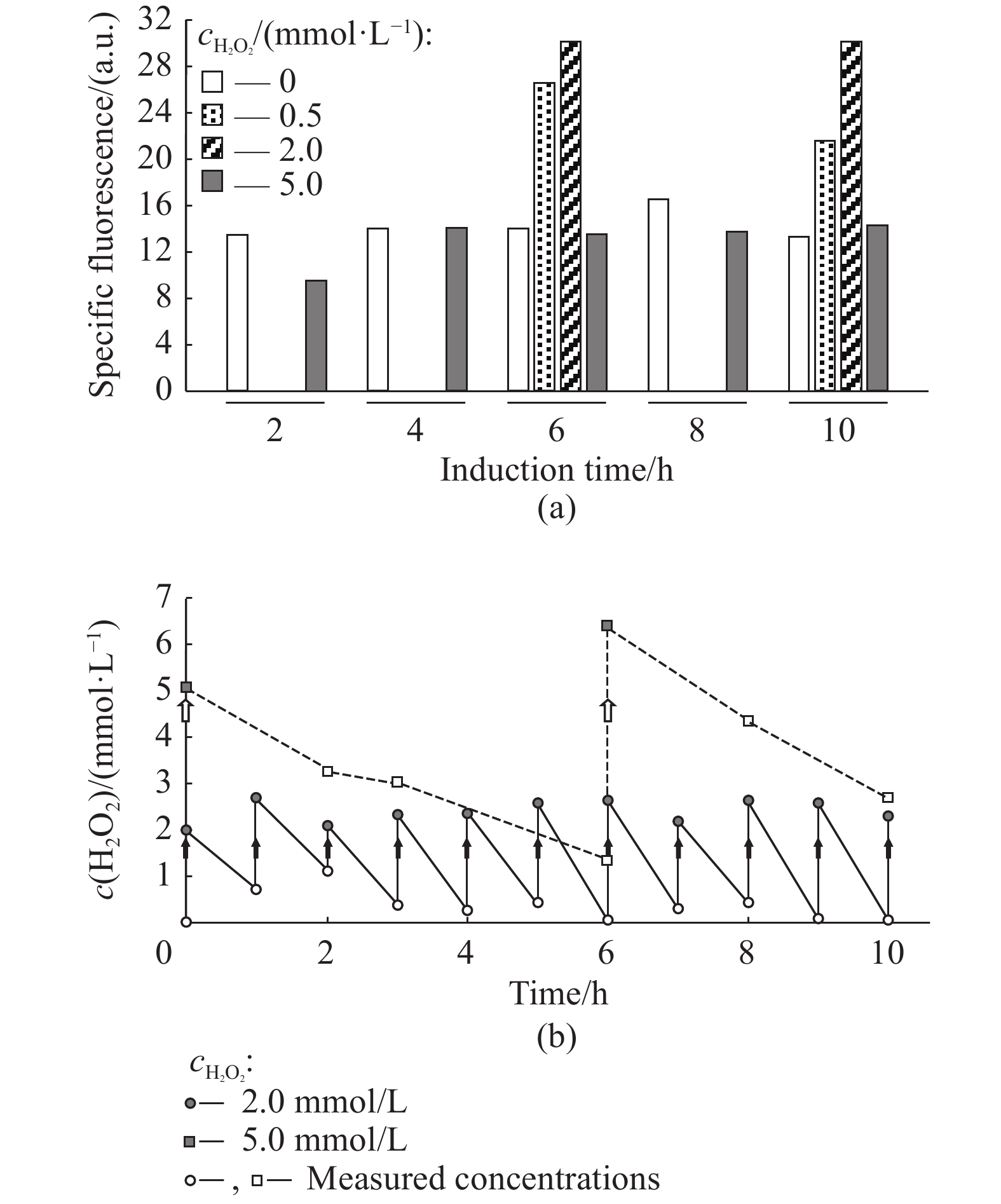 一种新型的曲霉属洁净可逆性诱导表达系统